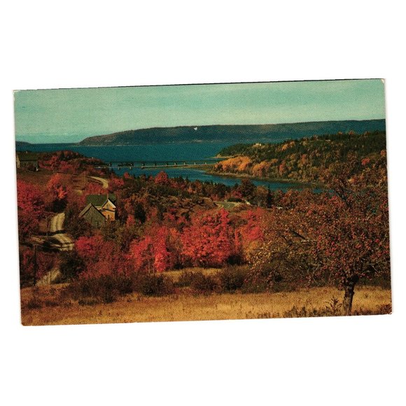 H. S. Crocker | Accents | Vintage Postcard Bear River Switzerland Of ...